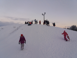 20201216_122320.jpg