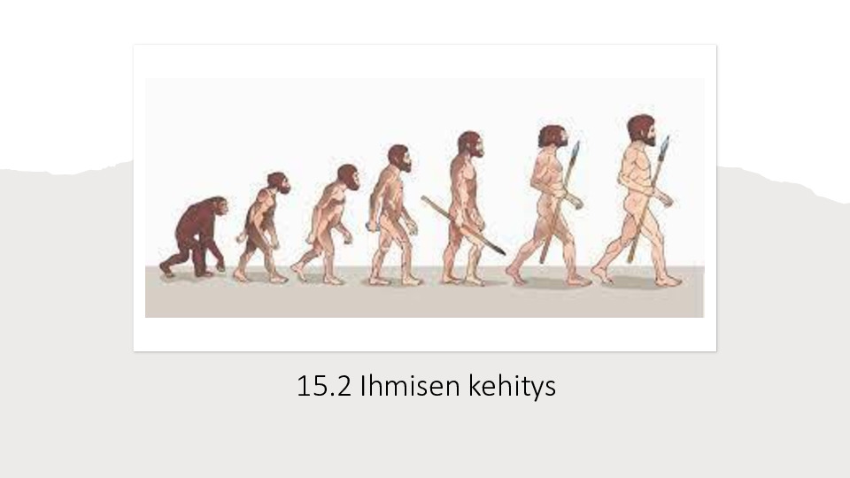 15.2 Ihmisen kehitys