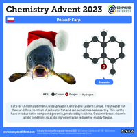 Karp Carp.pdf