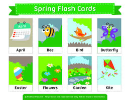 Spring flash cards