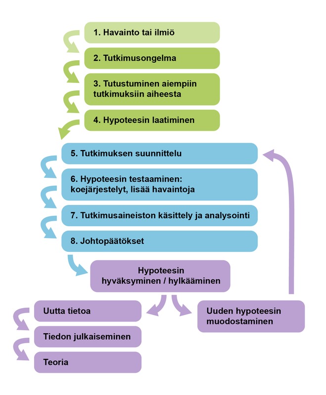 4.5 Biologisen tutkimuksen vaiheet