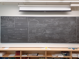 7b kpl 18 Forum 7 to 16.3.23