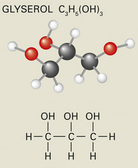 glycerol.png