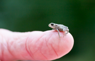 nature-3093318_1920.jpg